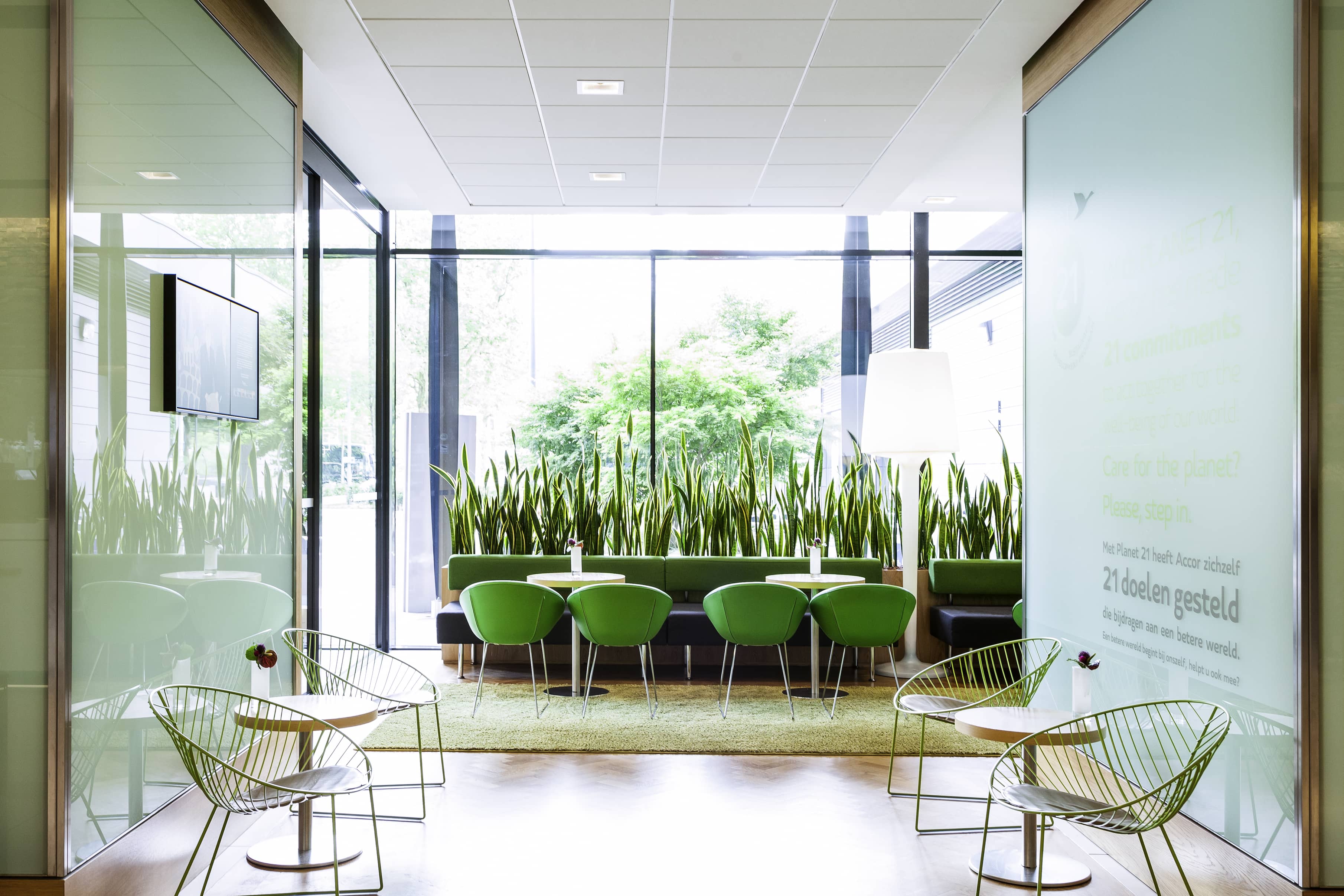 Open Your First European Office in the Netherlands