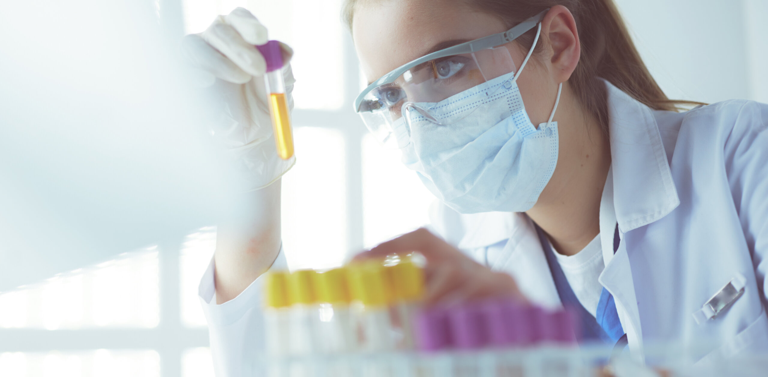 MSD Spin-Off Organon Launches in the Netherlands and Worldwide - NFIA