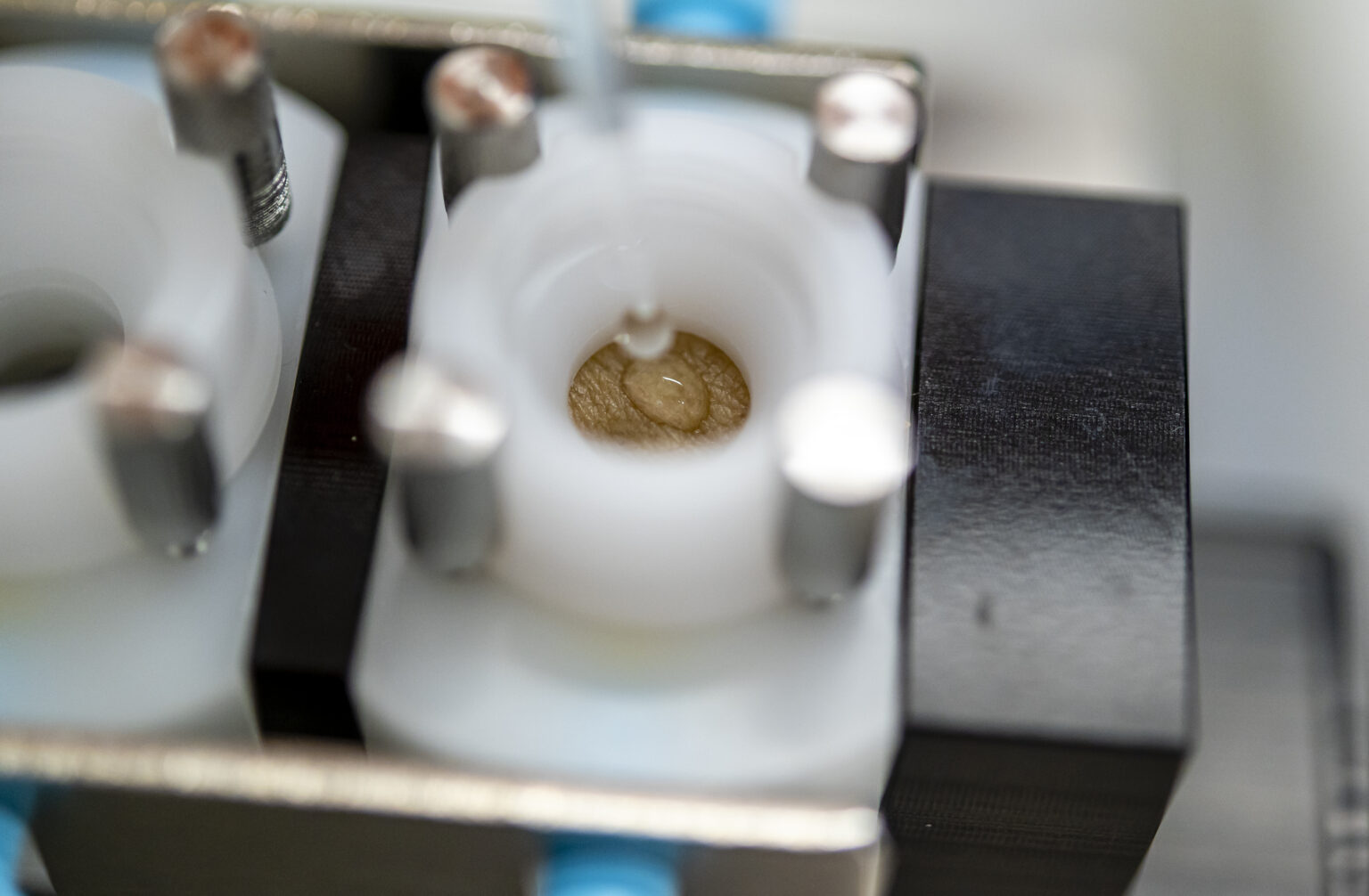 Charles River - NFIA