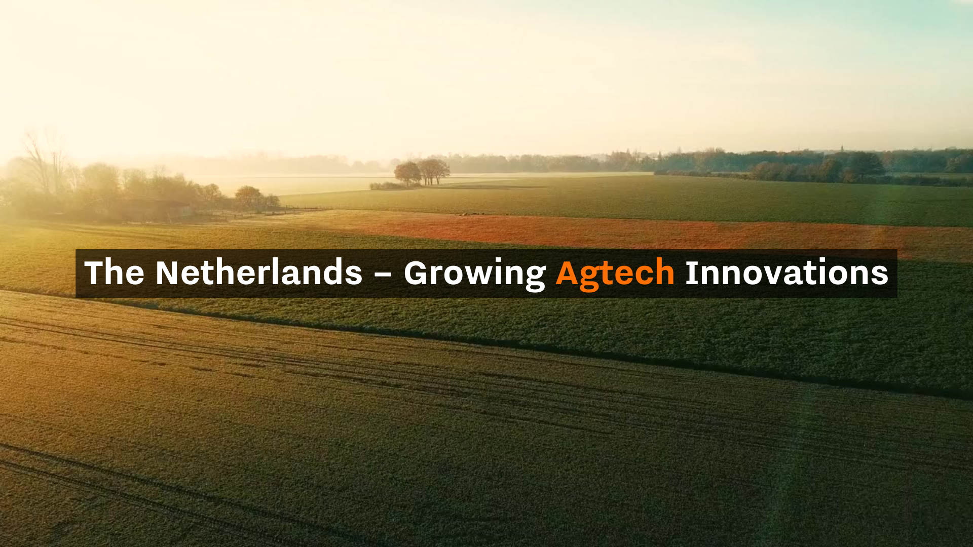 The Netherlands – Growing Agtech Innovations - NFIA